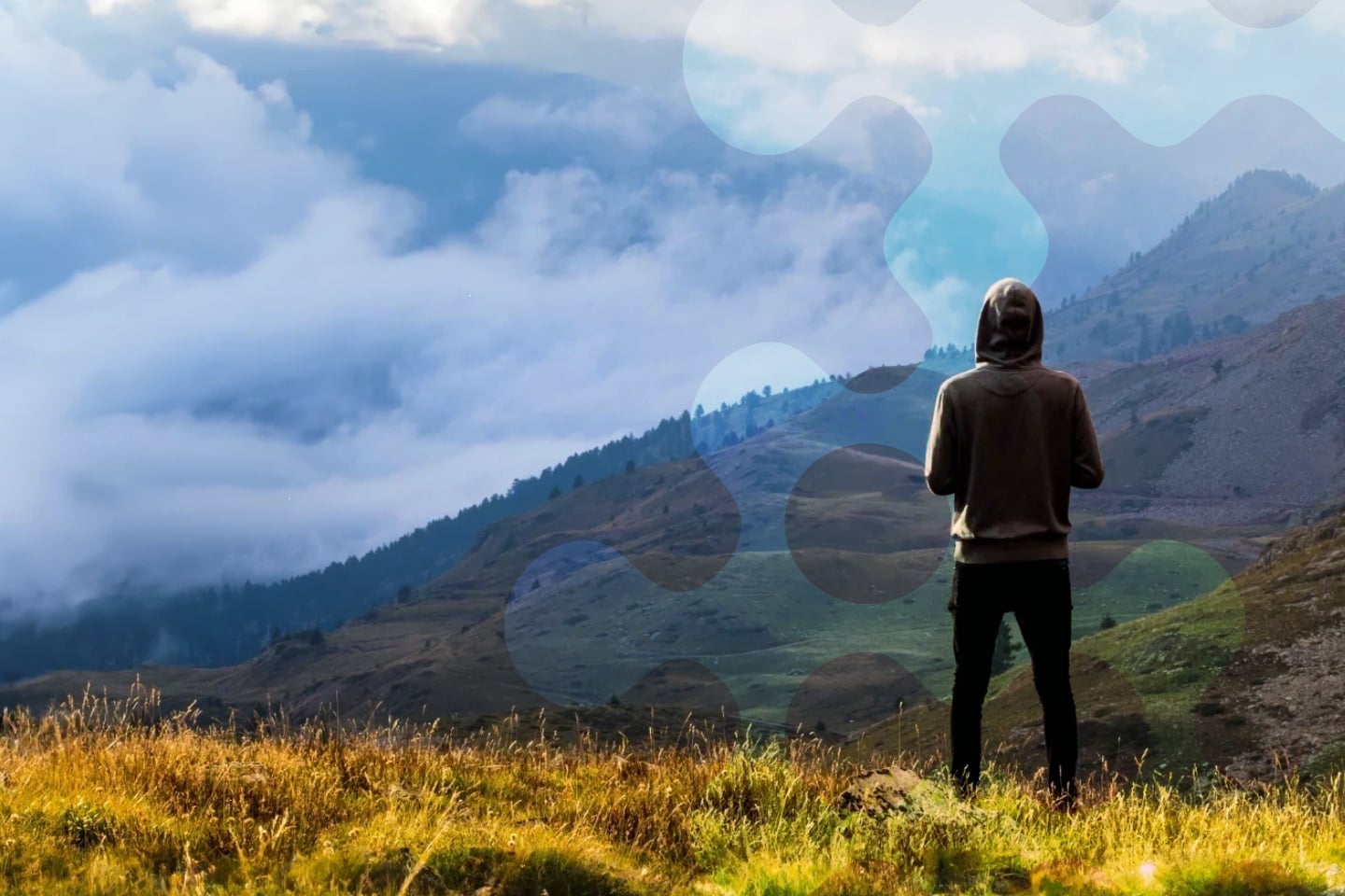 Trailblazer - Training Program for Innovative Men